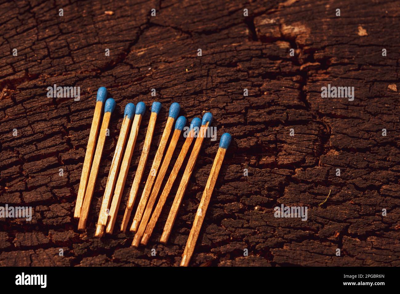 match sticks on a tree with lichens Stock Photo - Alamy