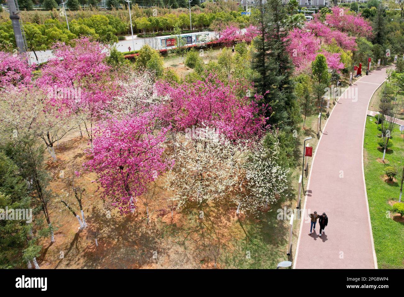 **CHINESE MAINLAND, HONG KONG, MACAU AND TAIWAN OUT** Aerial photo ...