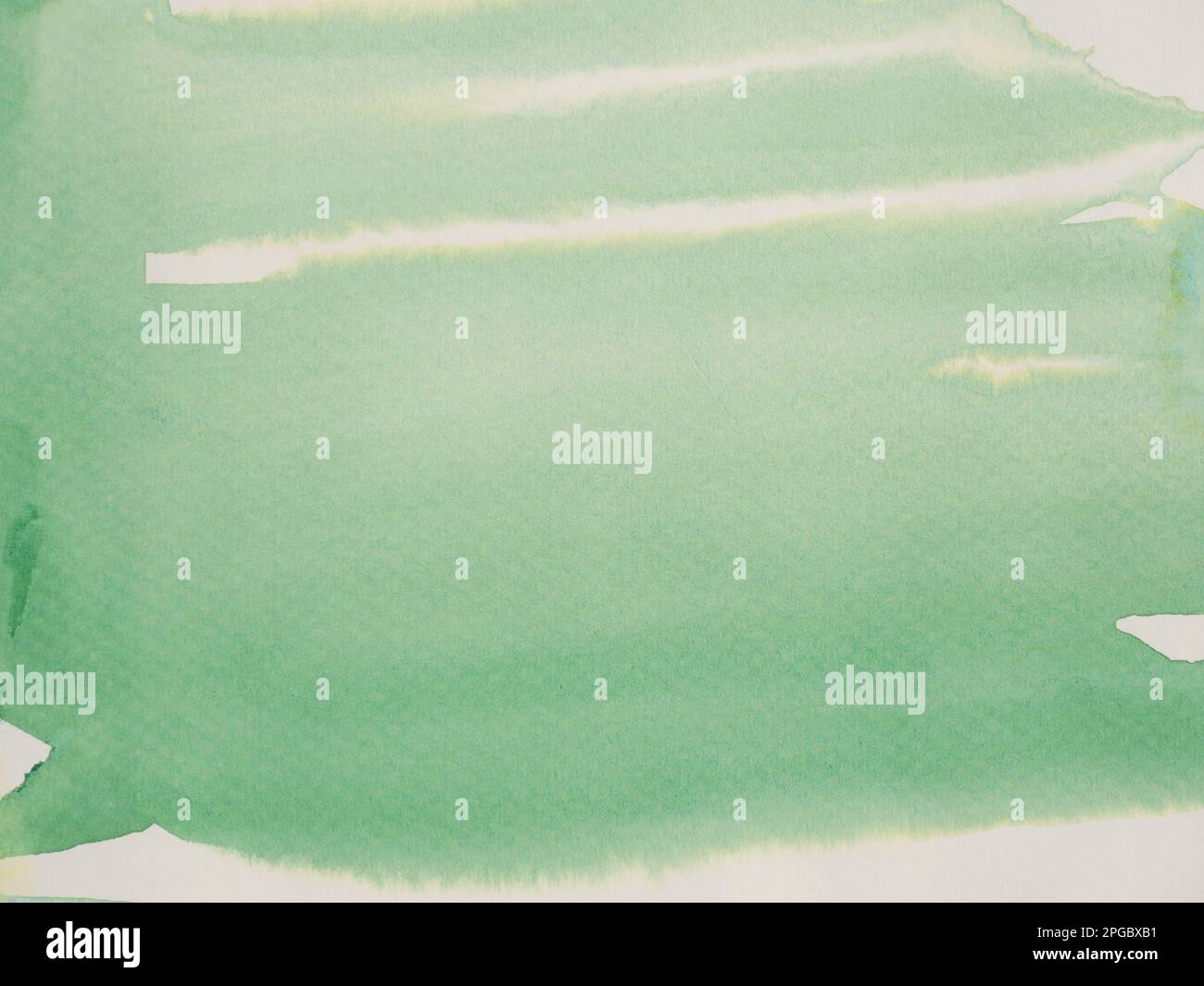 Abstract background and texture pattern green color flow on white ...