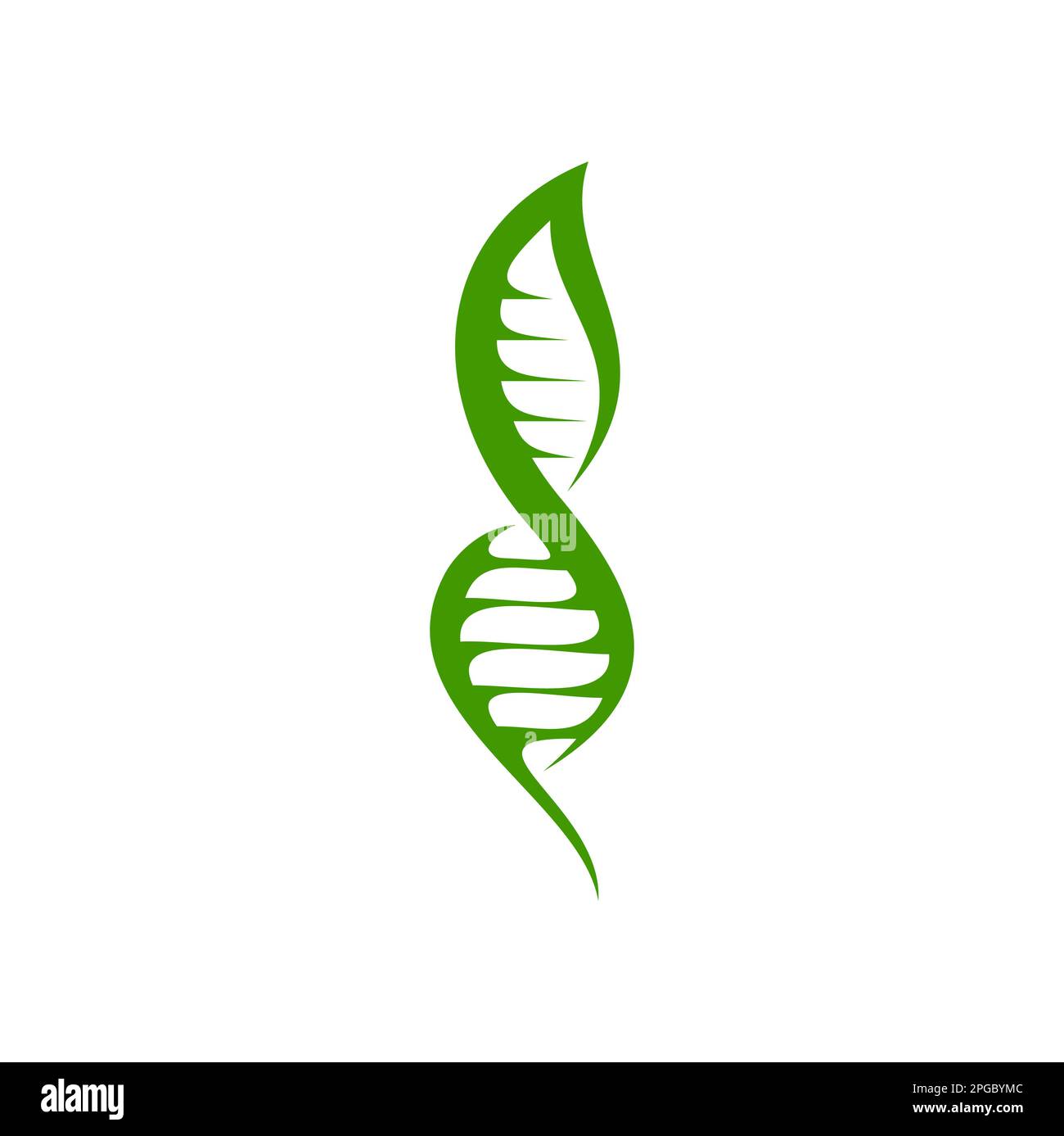 Leaf DNA icon of green plant in genetic helix, health science and ...