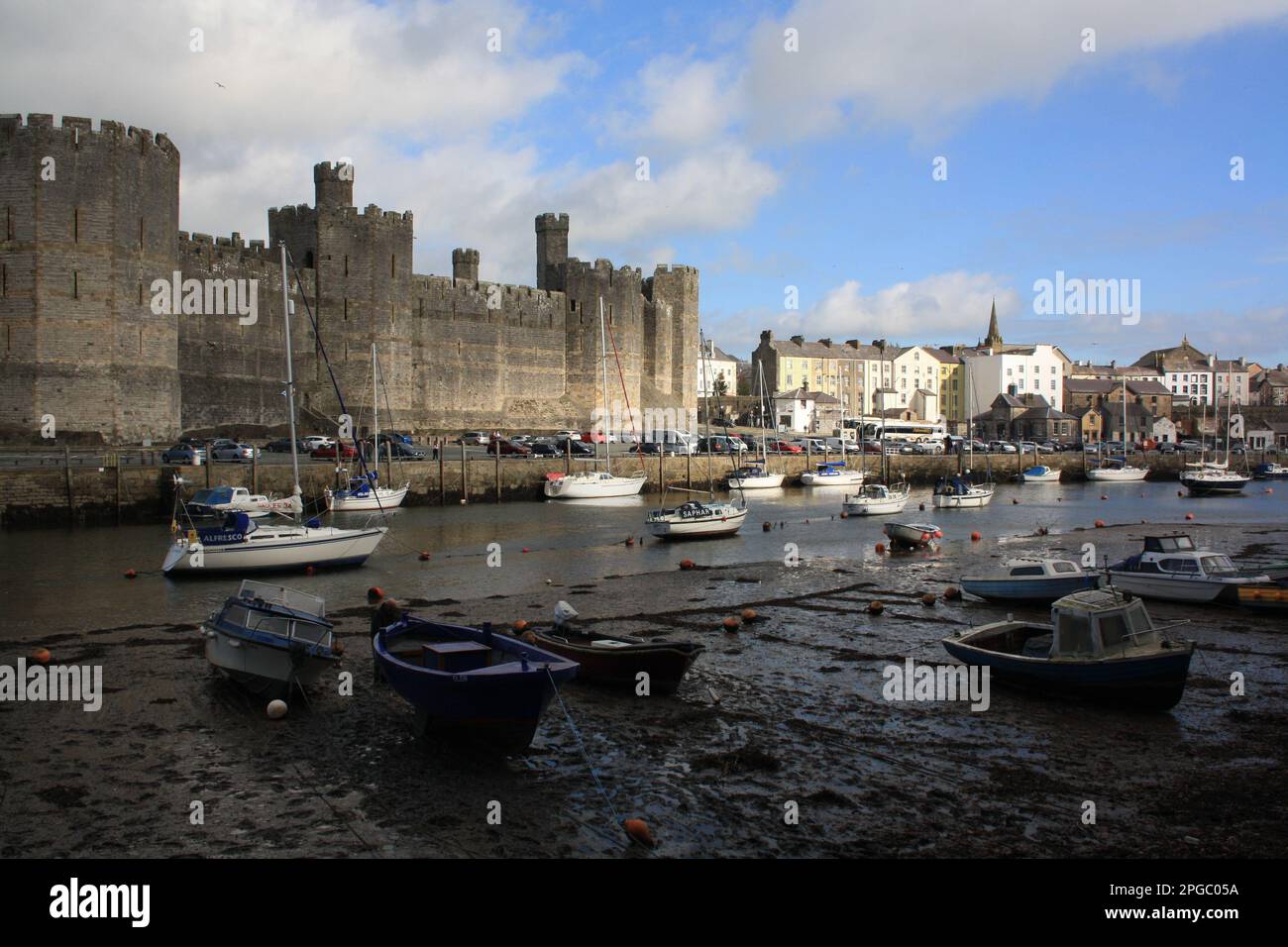 A majestic castle standing tall in the background with a fleet of boats ...