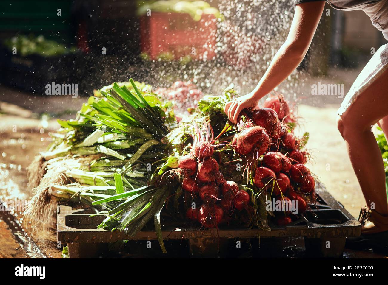 Fresh and clean is the standard of operation. an unrecognizable female ...