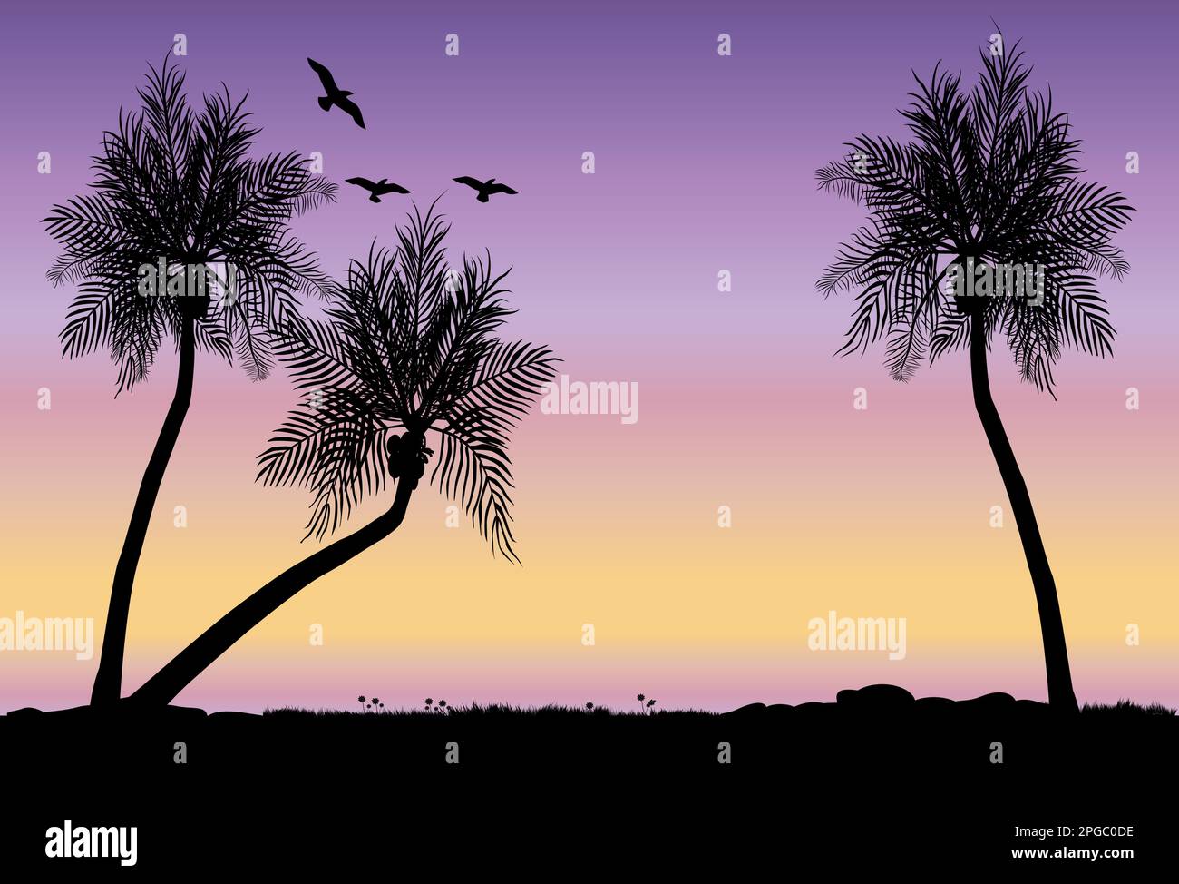 three coconut trees in the purple sunset with birds flying above Stock ...