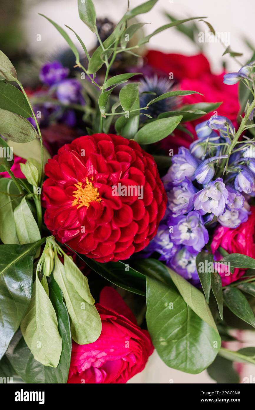 Vibrant colors harmonizing hi-res stock photography and images - Alamy