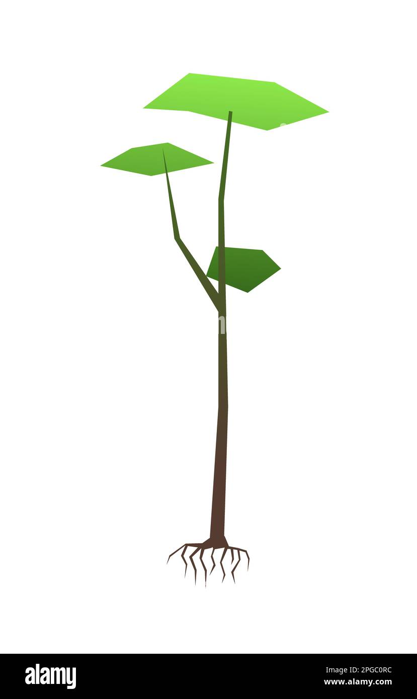 Seedlings of young trees with roots. Garden plants. Fruit plantings ...