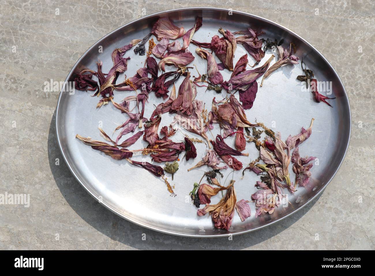 Dried flowers kept on stainless steel plate for sundry. Drying flowers ...