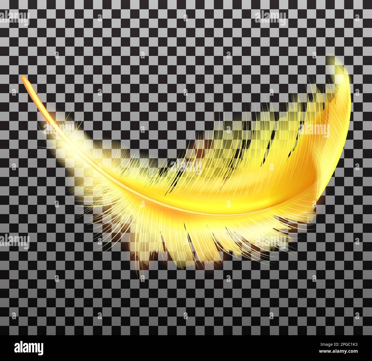Color golden fluffy feather vector realistic isolated on transparent ...