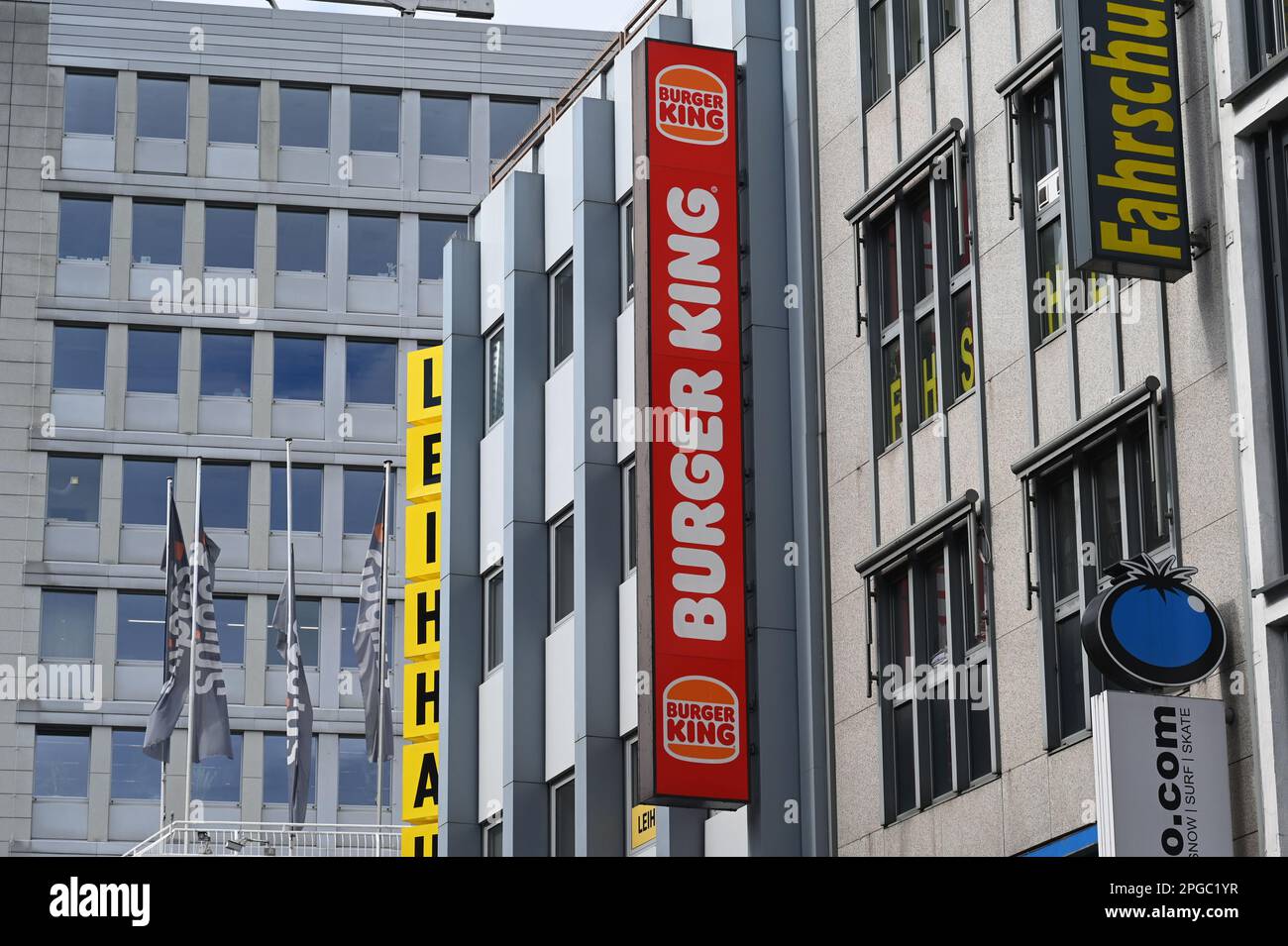 Cologne, Germany. 19th Mar, 2023. Logo, lettering on a branch of the ...