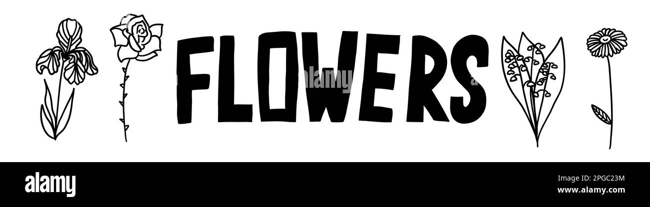 Decorative Horizontal Line Word