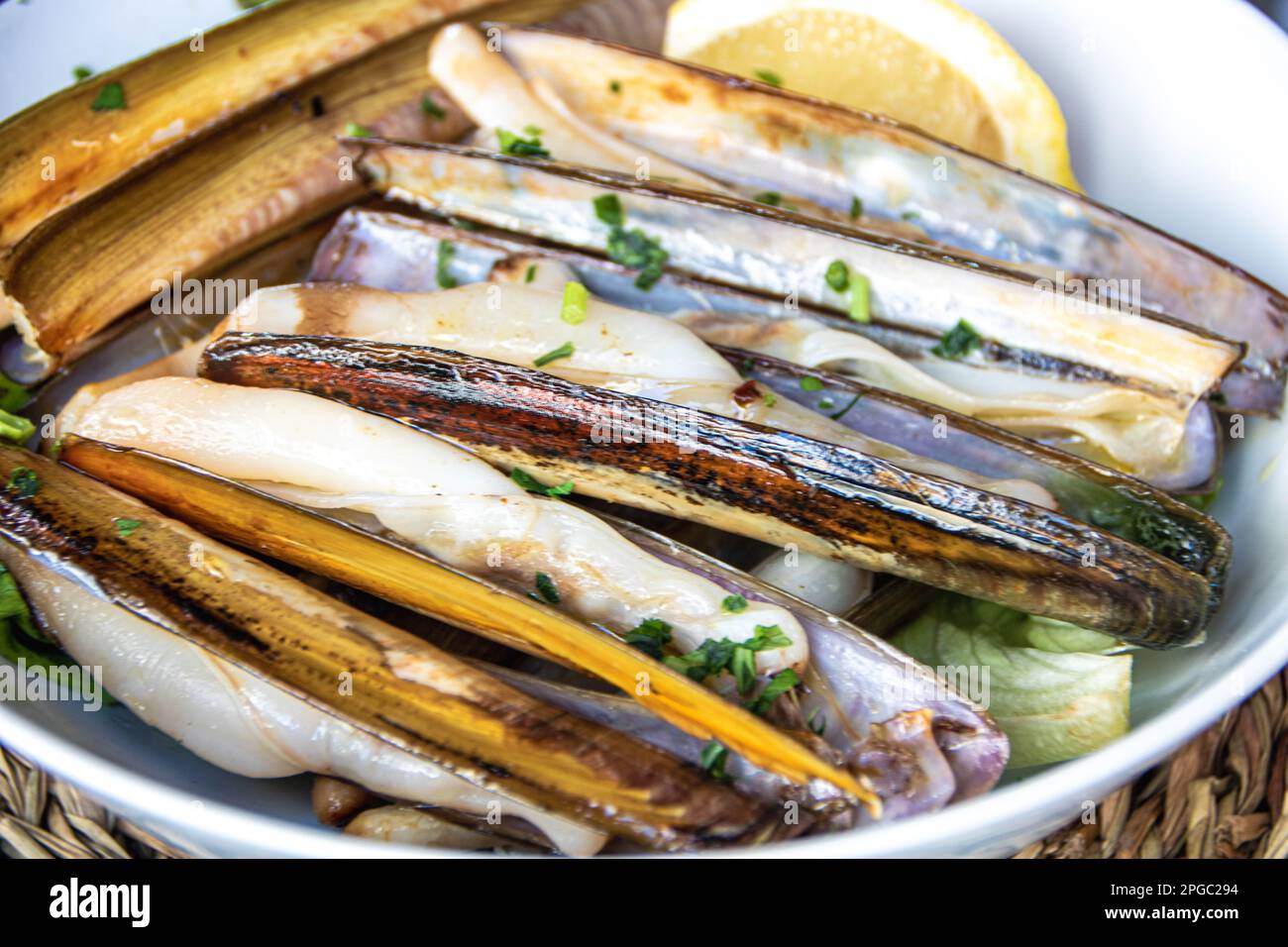 plate of grilled razor clams, typical galician recipe and served as ...