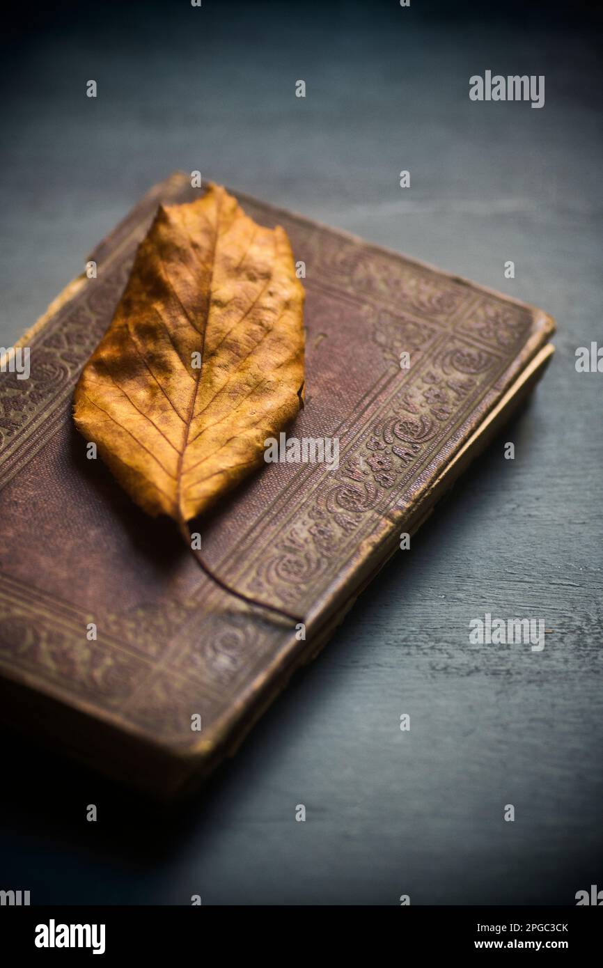 yellow autumn leaf over old book Stock Photo - Alamy