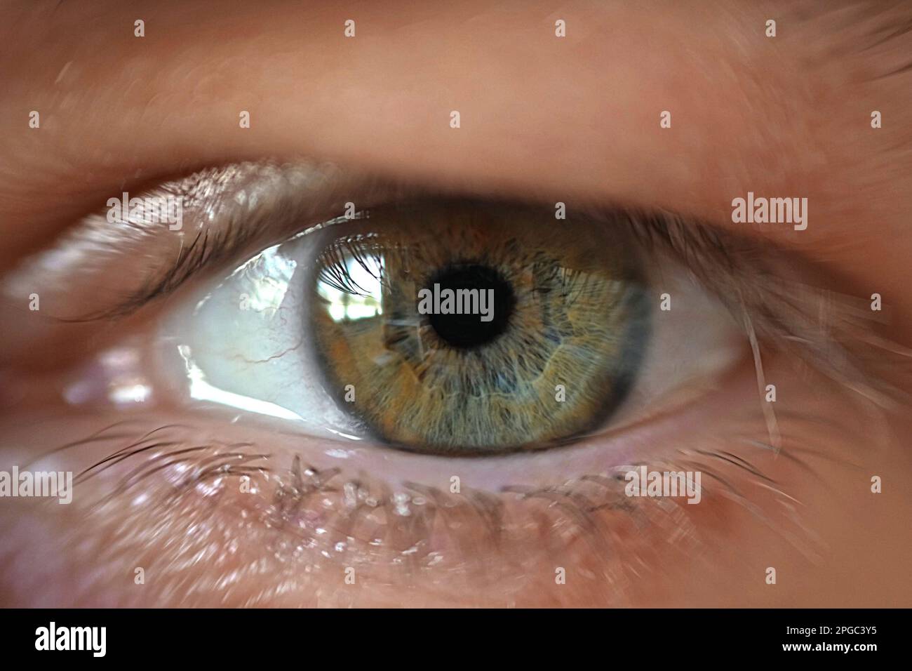 Human gaze concept hi-res stock photography and images - Alamy