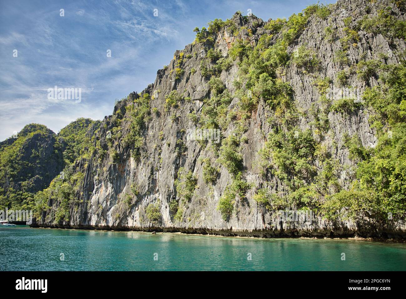 Majestic rocks in Coron, Palawan in the Philippines that are overgrown ...