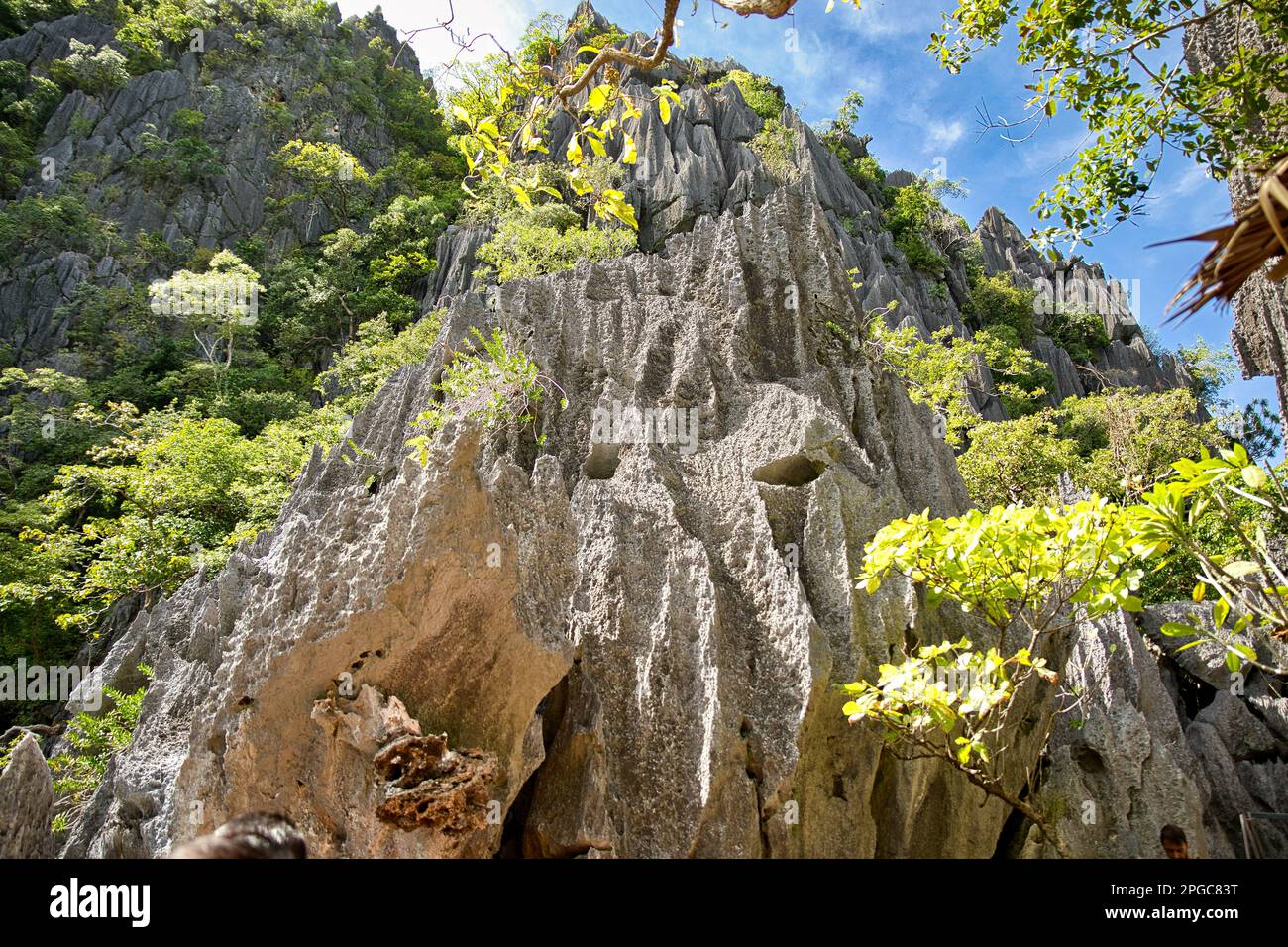 A majestic rock in Coron, Palawan in the Philippines that is covered ...