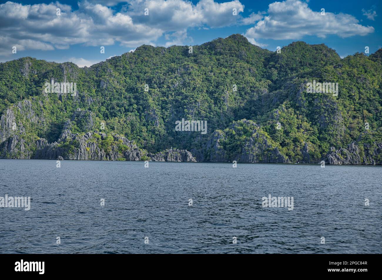 Majestic rocks in Coron, Palawan in the Philippines that are overgrown ...
