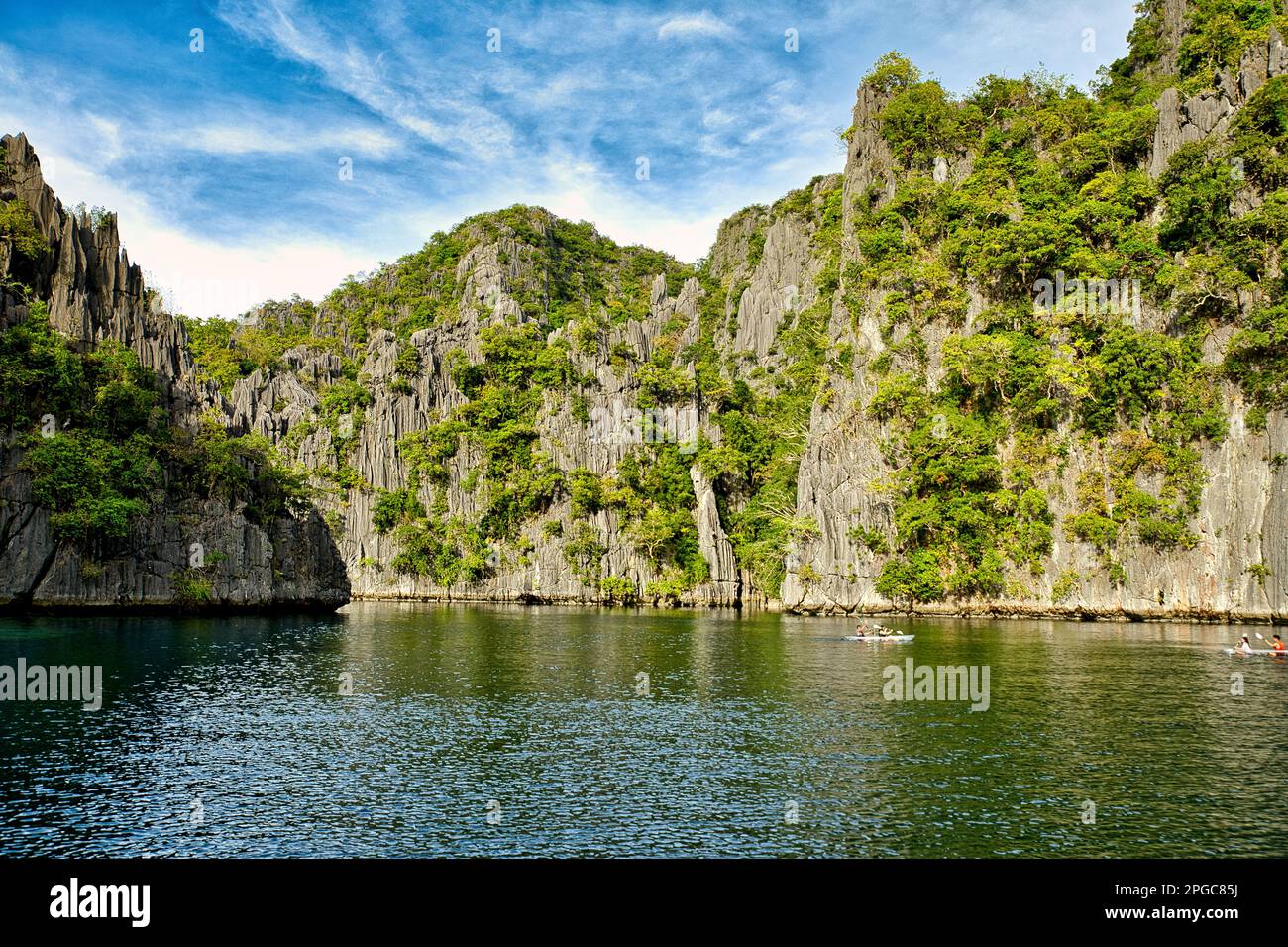 Majestic rocks in Coron, Palawan in the Philippines that are overgrown ...