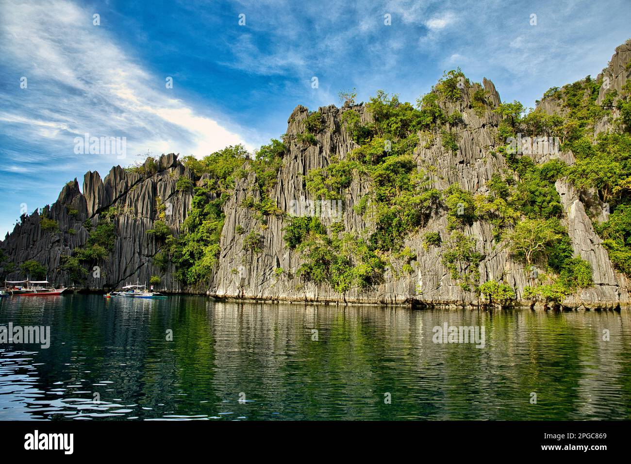 Majestic rocks in Coron, Palawan in the Philippines that are overgrown ...