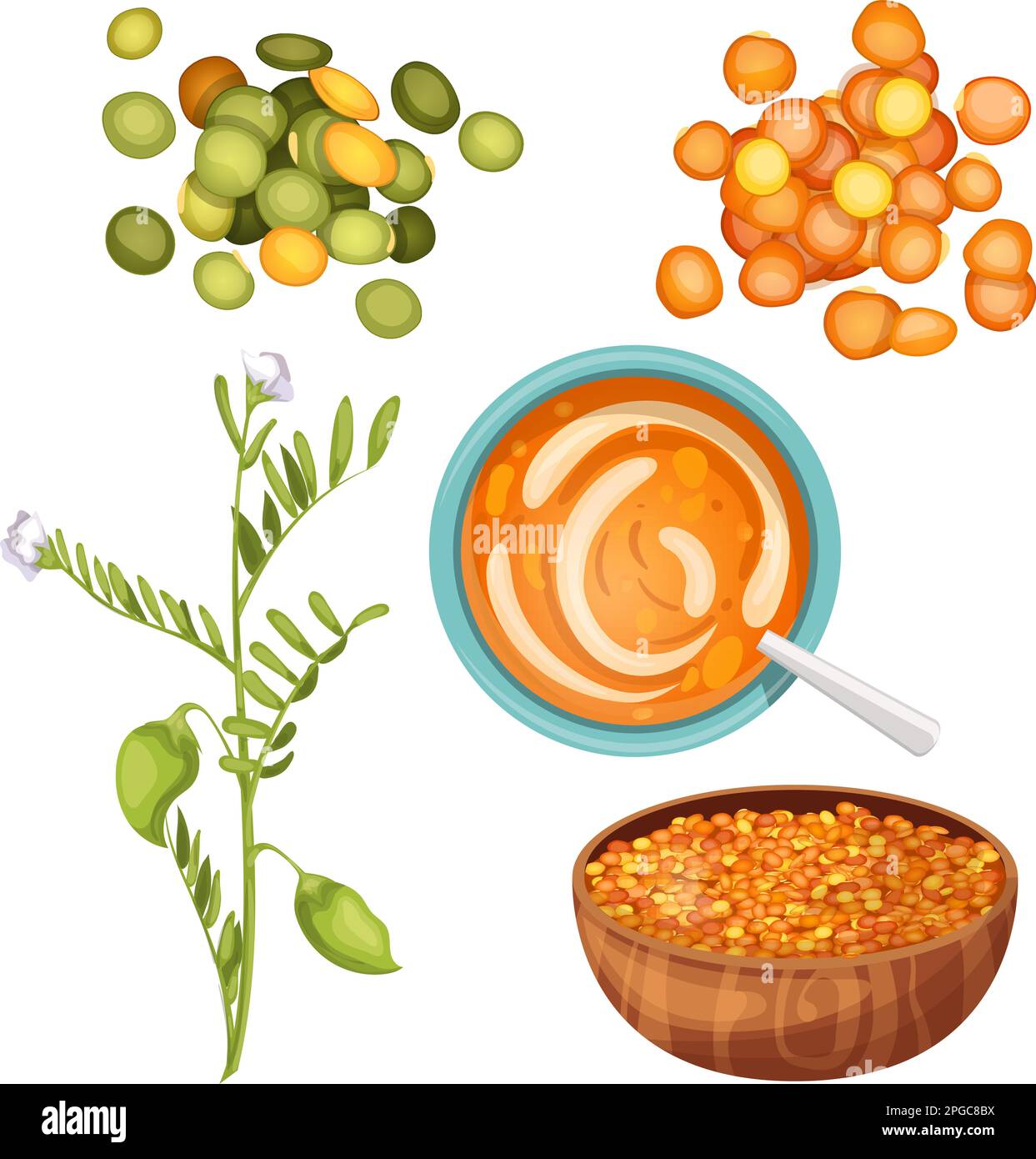 lentils food healthy set cartoon vector illustration Stock Vector Image ...