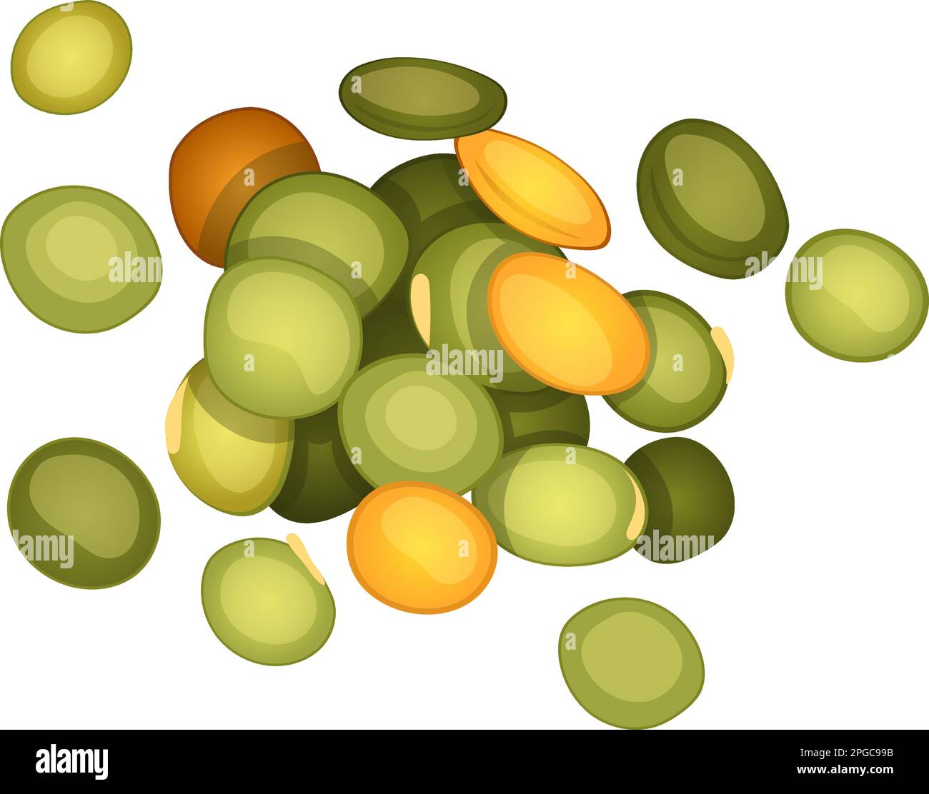 Lentil Seed Cartoon Vector Illustration Stock Vector Image And Art Alamy