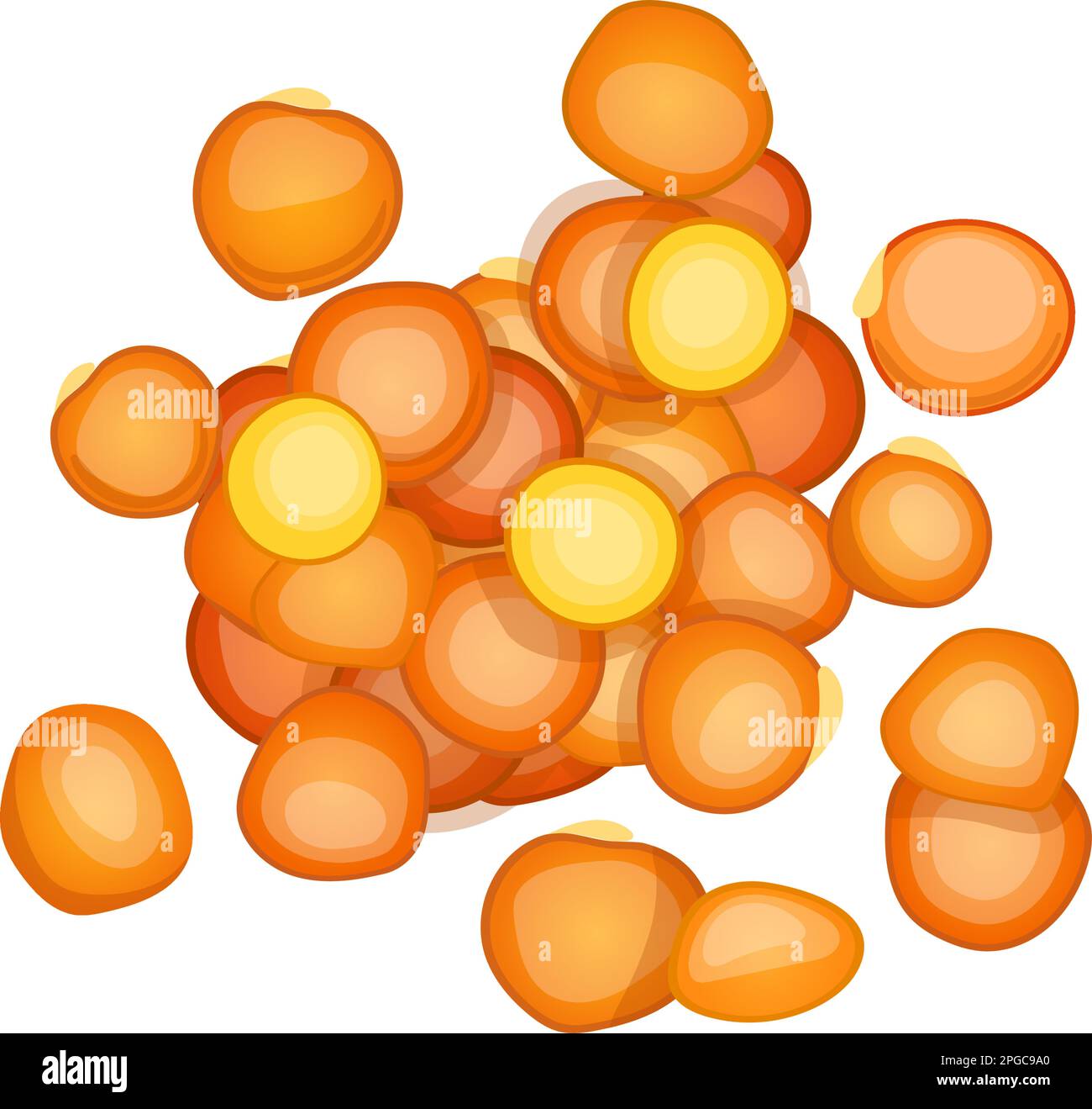 lentil seed cartoon vector illustration Stock Vector Image & Art - Alamy