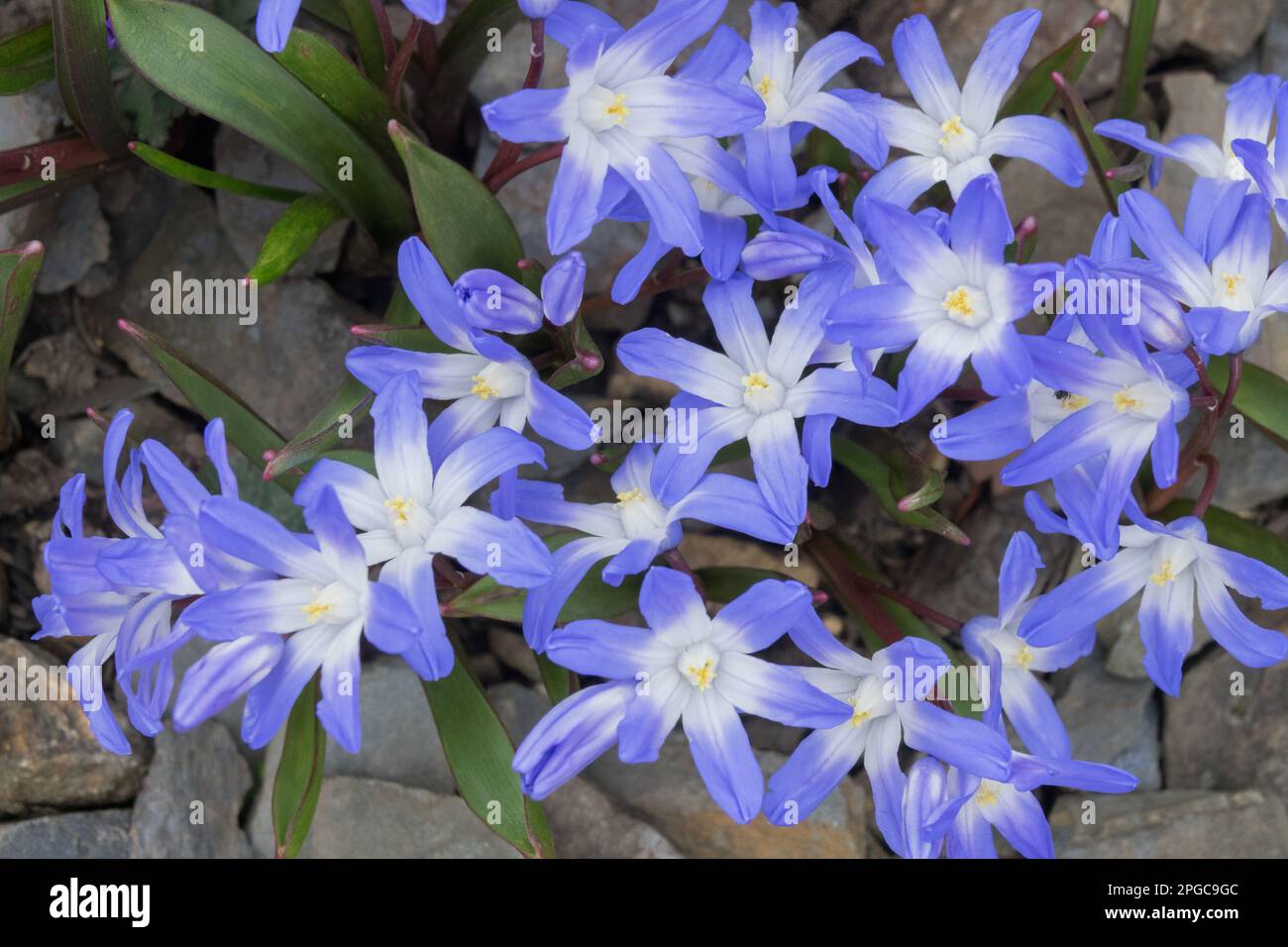 Forbes march hi-res stock photography and images - Alamy
