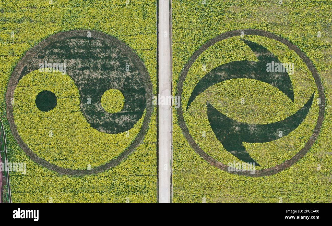 SHIYAN, CHINA - MARCH 21, 2023 - Photo taken on March 21, 2023 shows ...