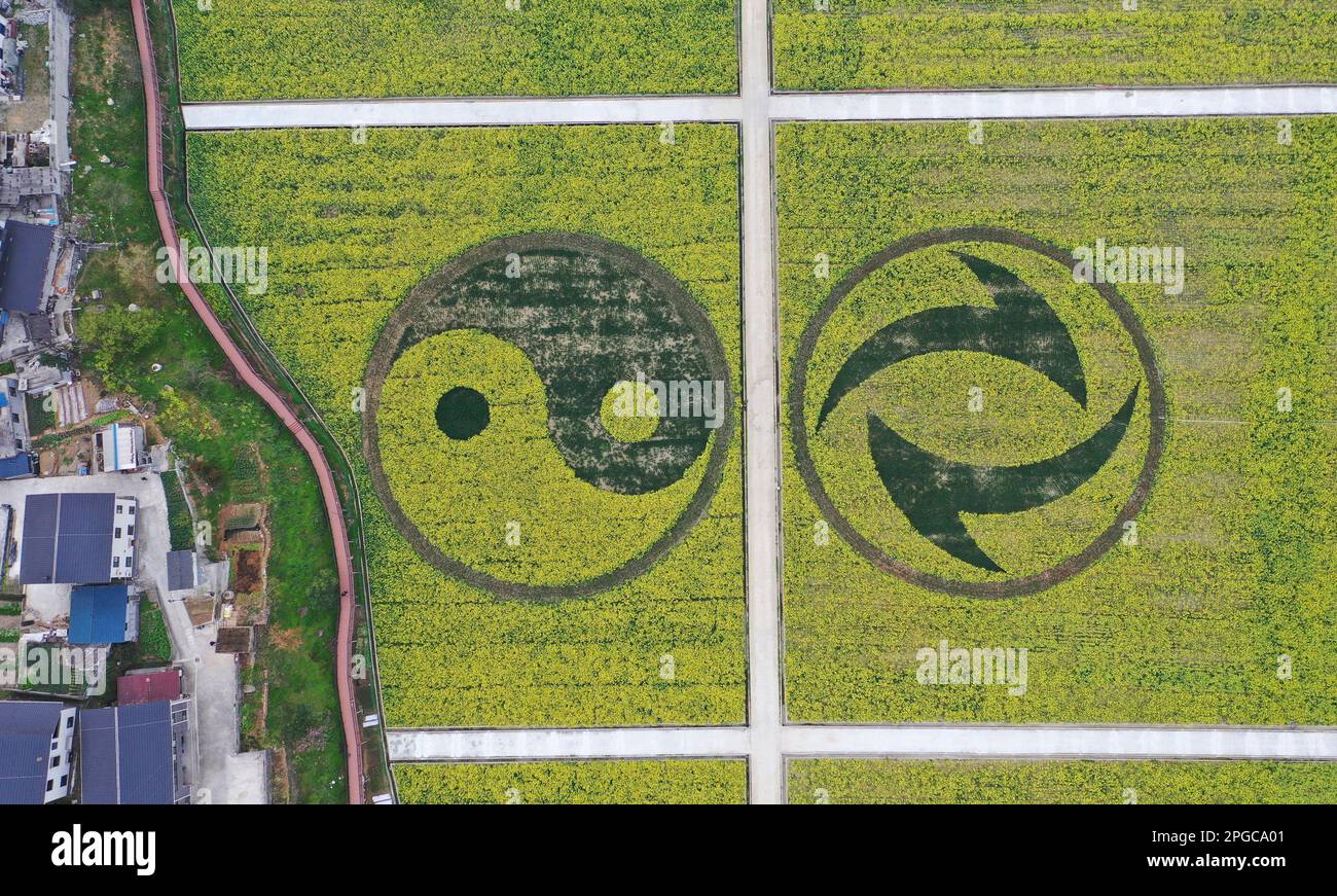 SHIYAN, CHINA - MARCH 21, 2023 - Photo taken on March 21, 2023 shows ...