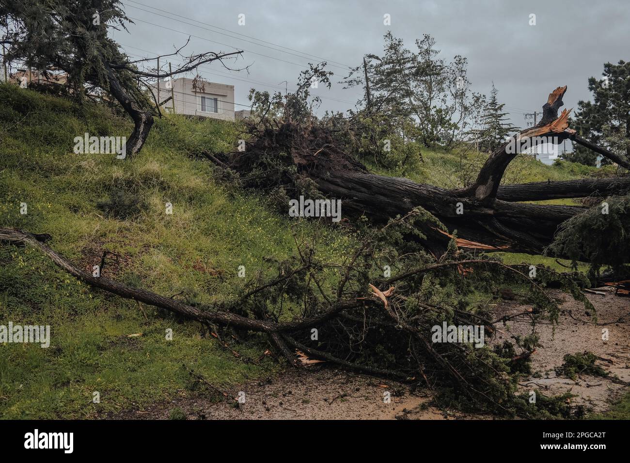 A view of a scene of destruction as a storm hits San Francisco, with ...