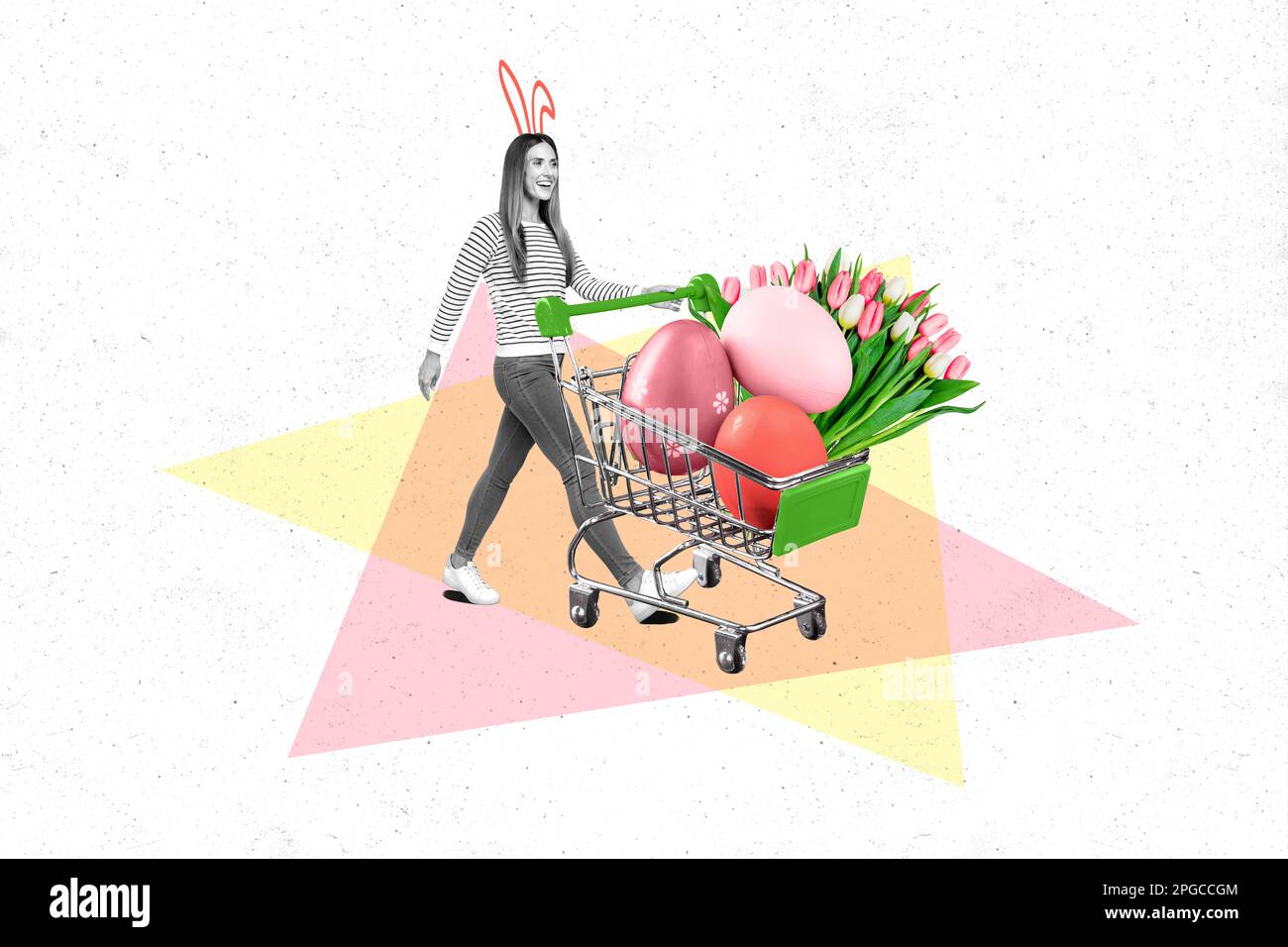 Photo collage of girl preparation grocery store cart shopping colored ...
