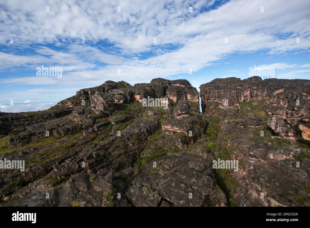 Steep sandstone cliffs on the plateau of Auyan tepui, a famous table ...