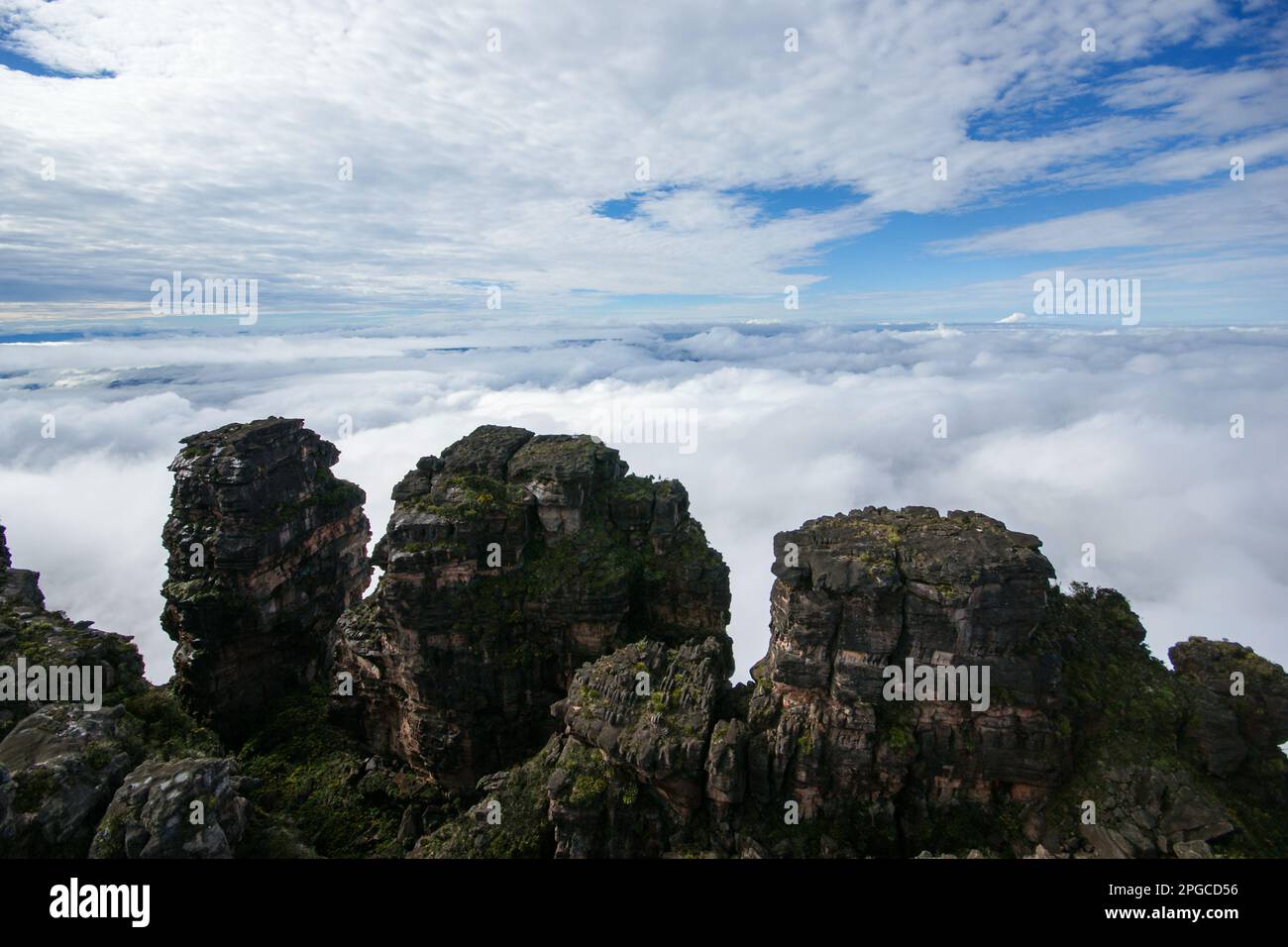 Steep and eroded black sandstone columns of Auyan tepui, a famous table ...