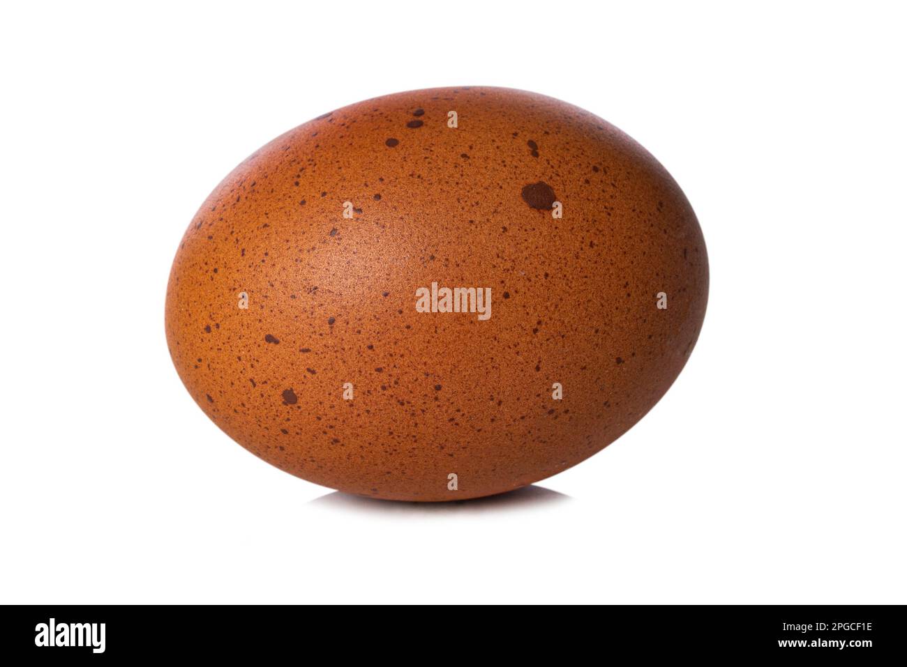 Egg isolated on white background Stock Photo - Alamy
