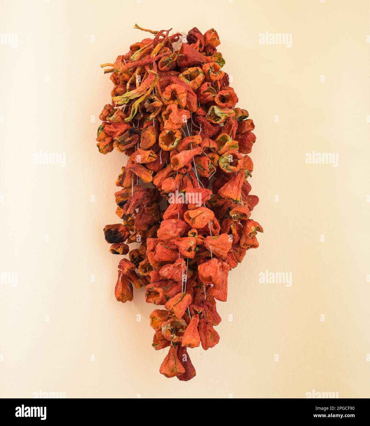 Dried green and red bell pepper hanged on the wall Stock Photo - Alamy
