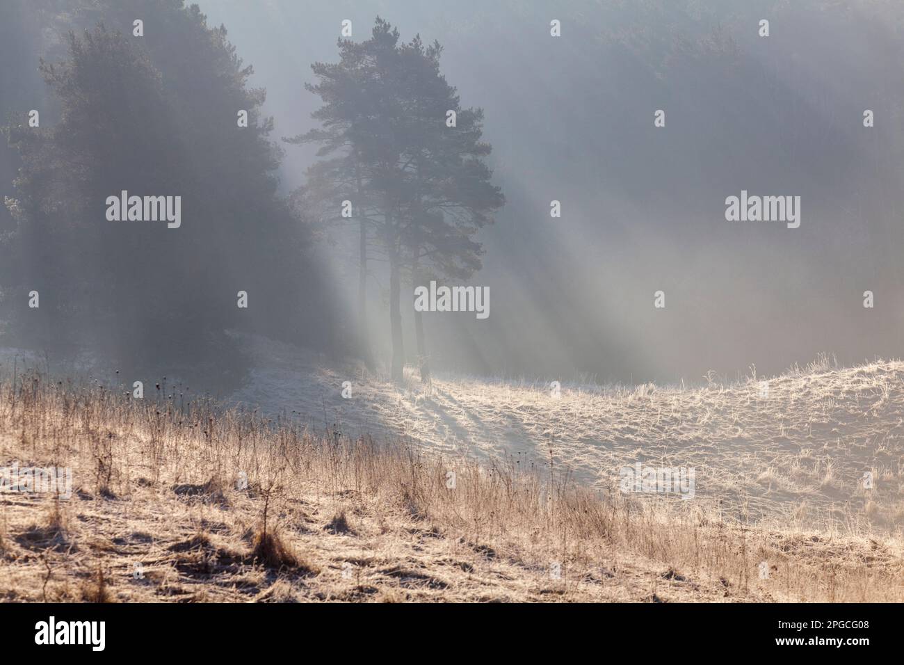 Spring landscape poland hi-res stock photography and images - Alamy