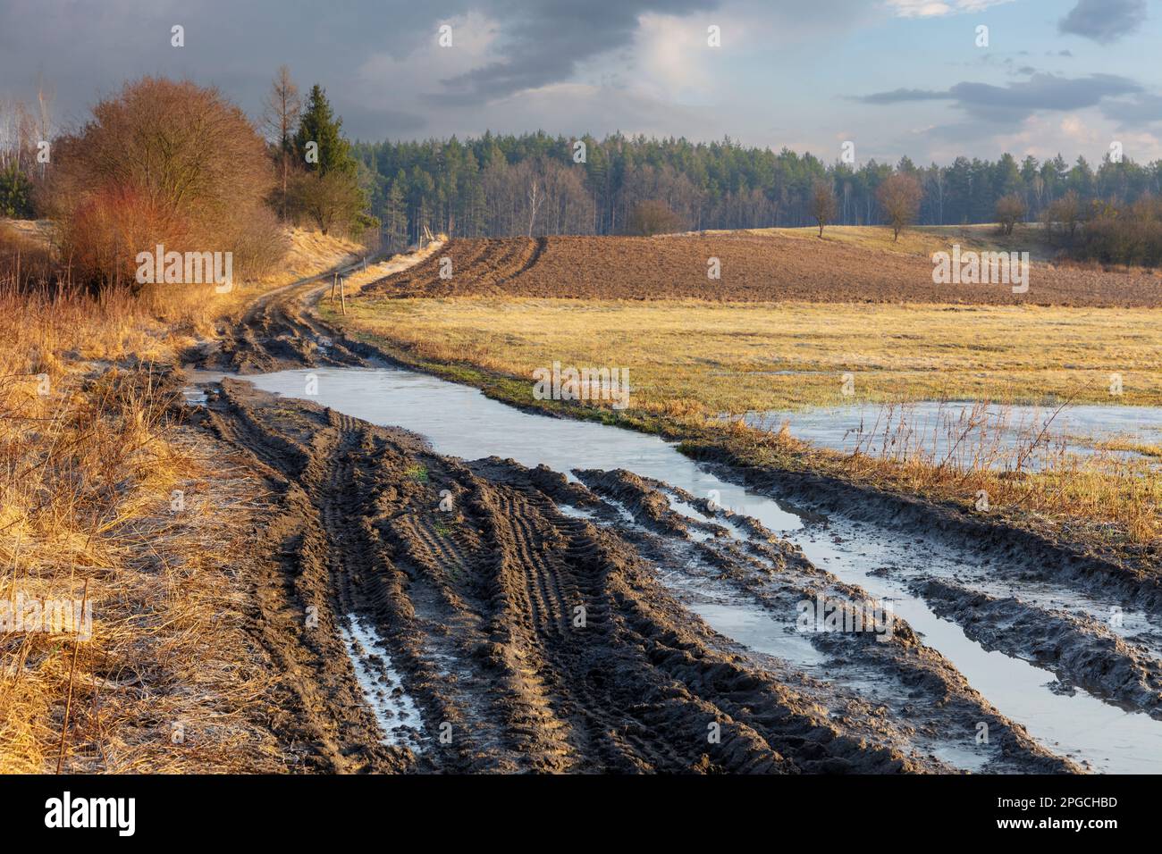 Early spring landscape, dirt road, Poland Stock Photo - Alamy