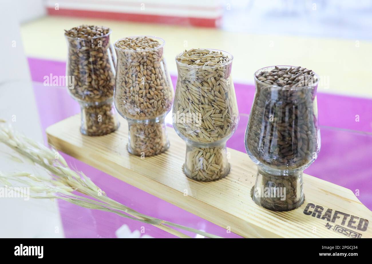 21.03.2023. Russia. Moscow. Cereals presented at the international ...