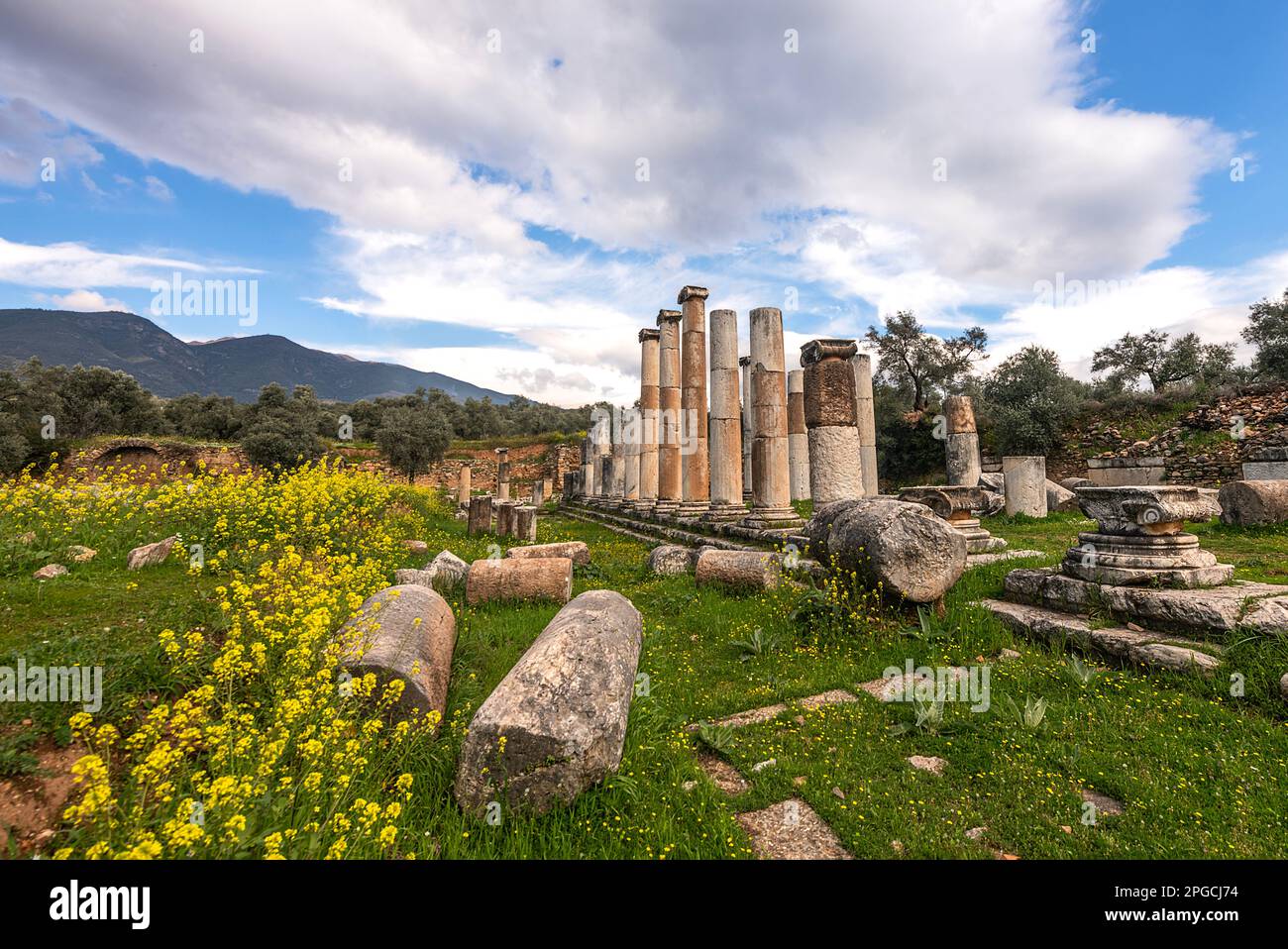 Nysa Ancient City history BC. It is based on the 3rd century. It was ...