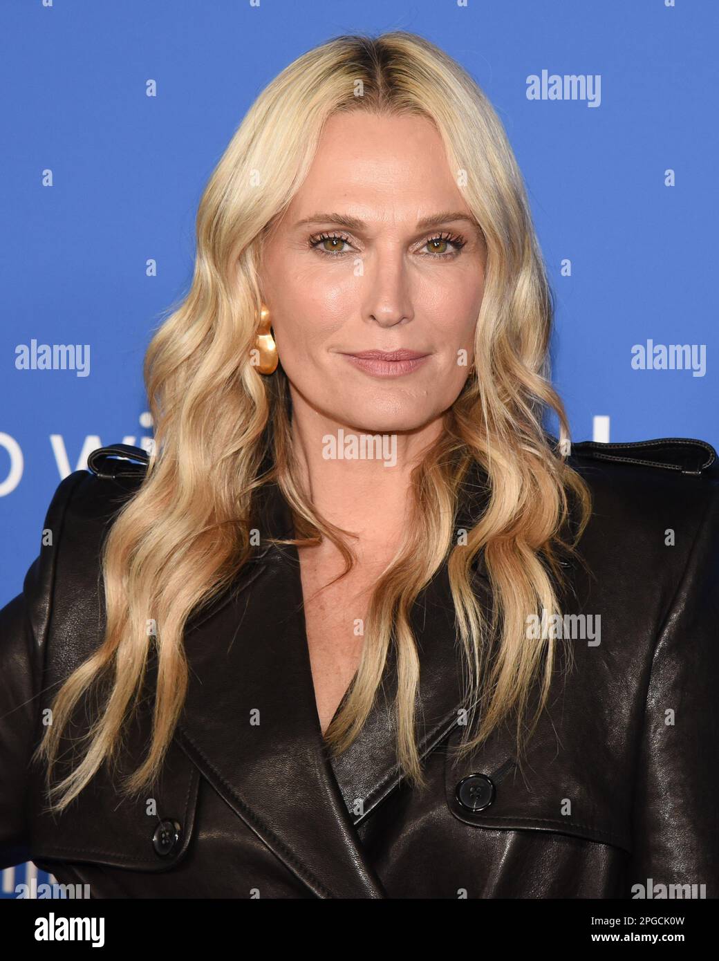 Molly sims 2023 hi-res stock photography and images - Alamy