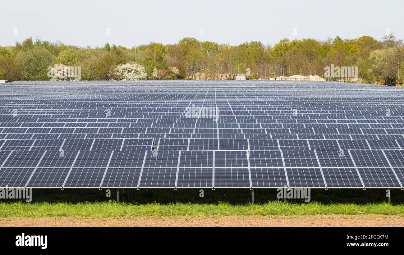 Large field with solar panels on the ground for alternative energy ...