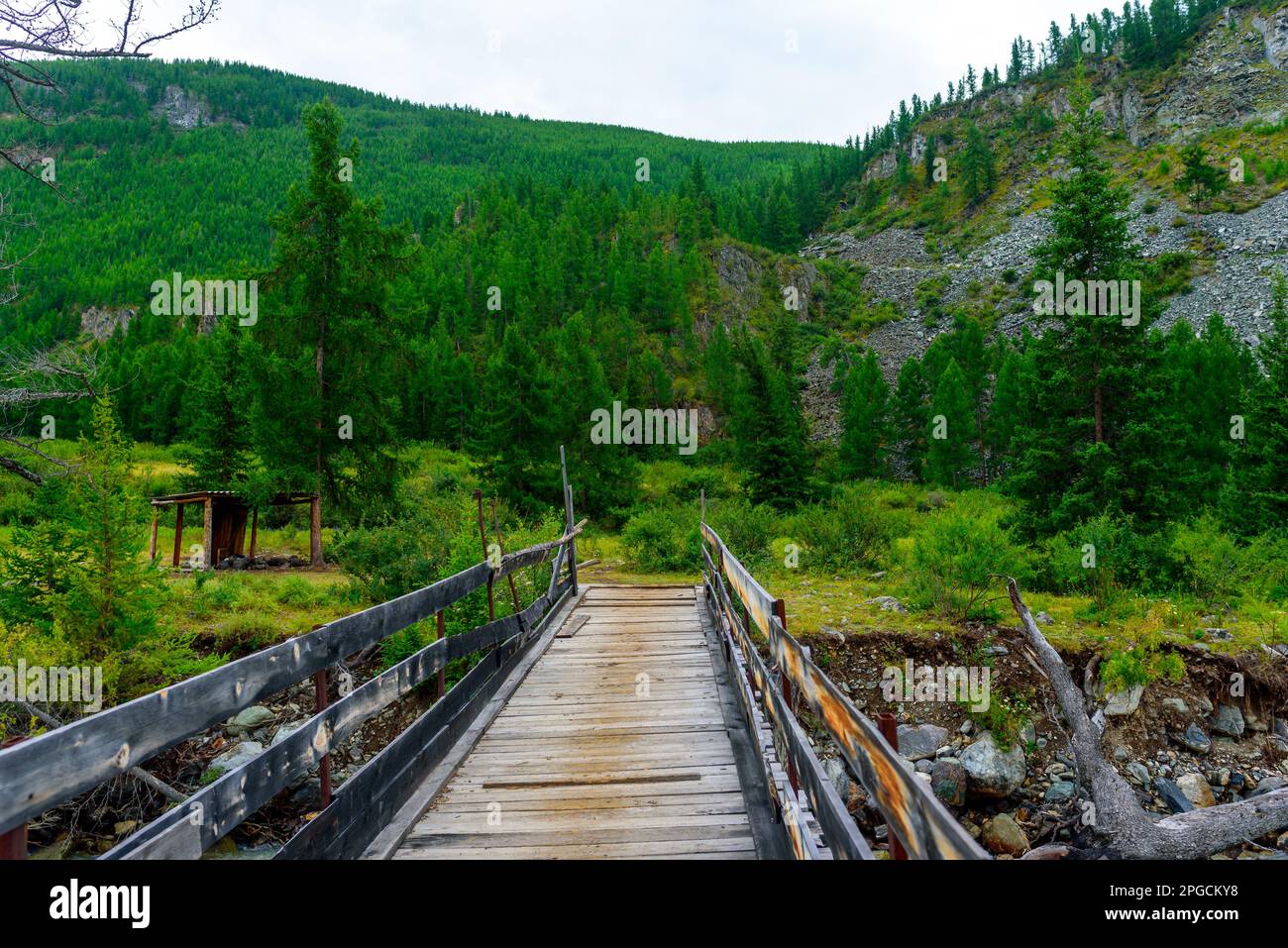 Wooden bridge made of planks across the mountain river Chuya with flow ...