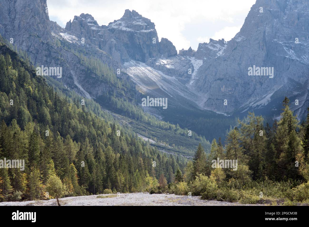 la bellezza e la peculiarità della natura in montagna, gli elementi ...