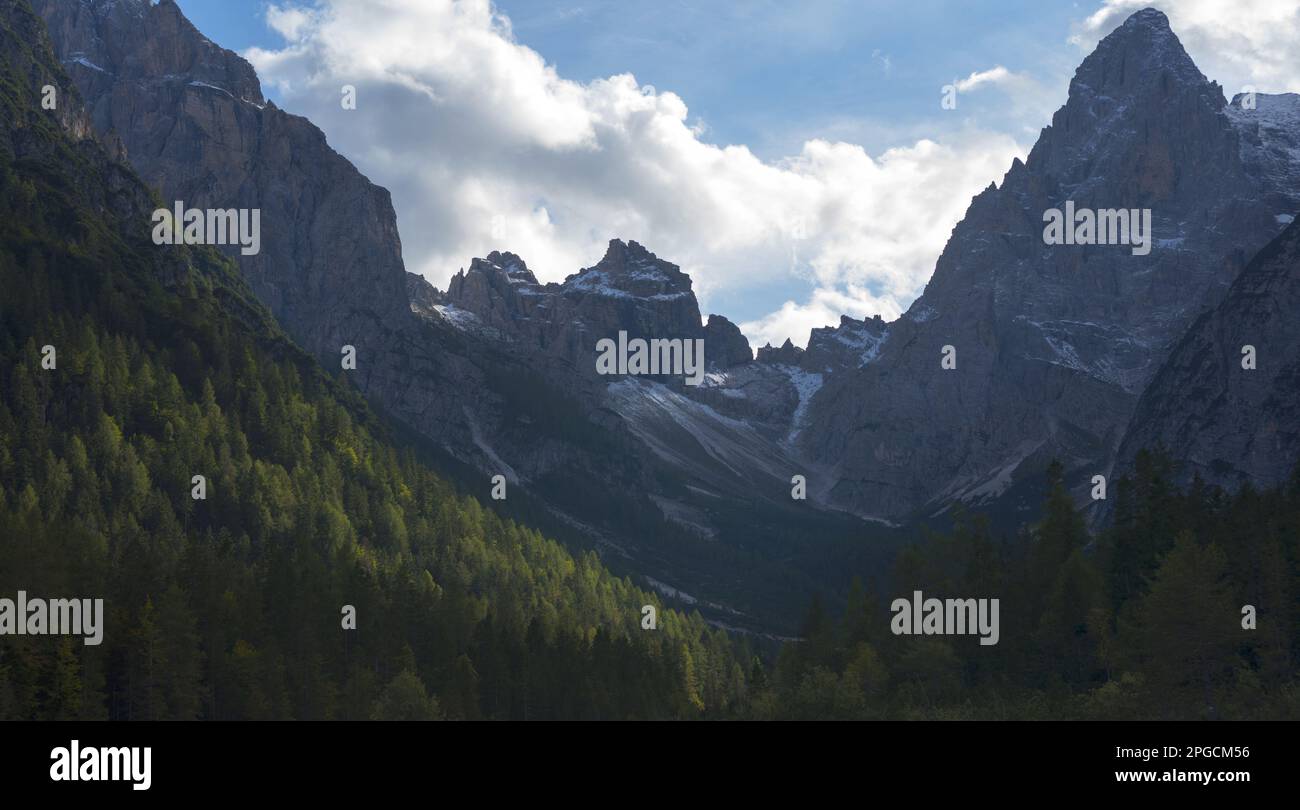 la bellezza e la peculiarità della natura in montagna, gli elementi ...