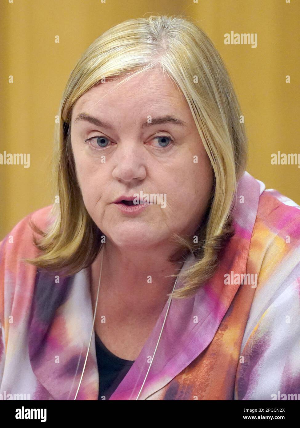 Brian Cowles's Instagram, Twitter & Facebook on IDCrawl