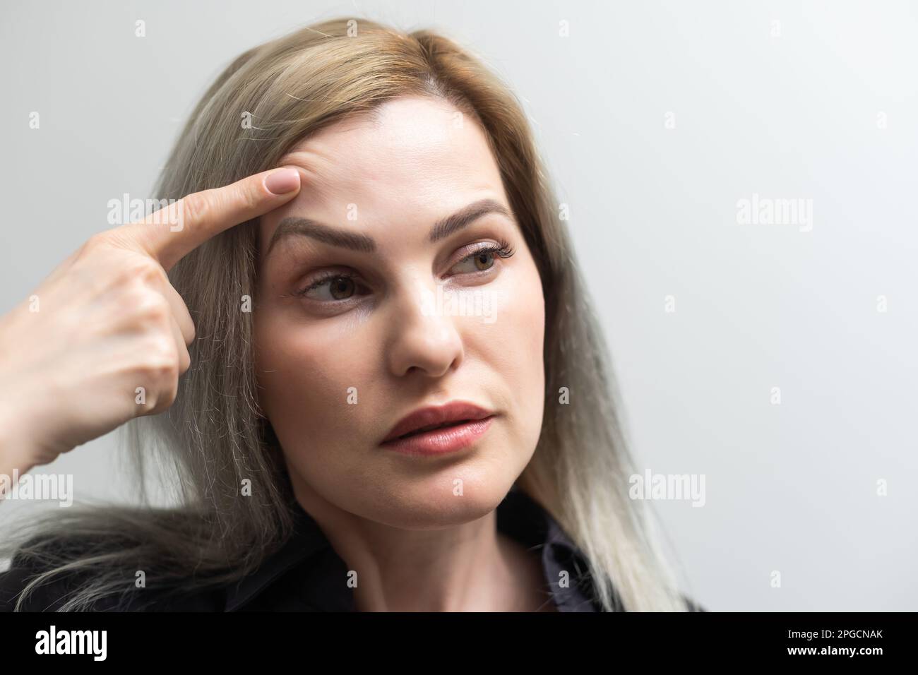 Drooping Sheoaks Natural Newstead