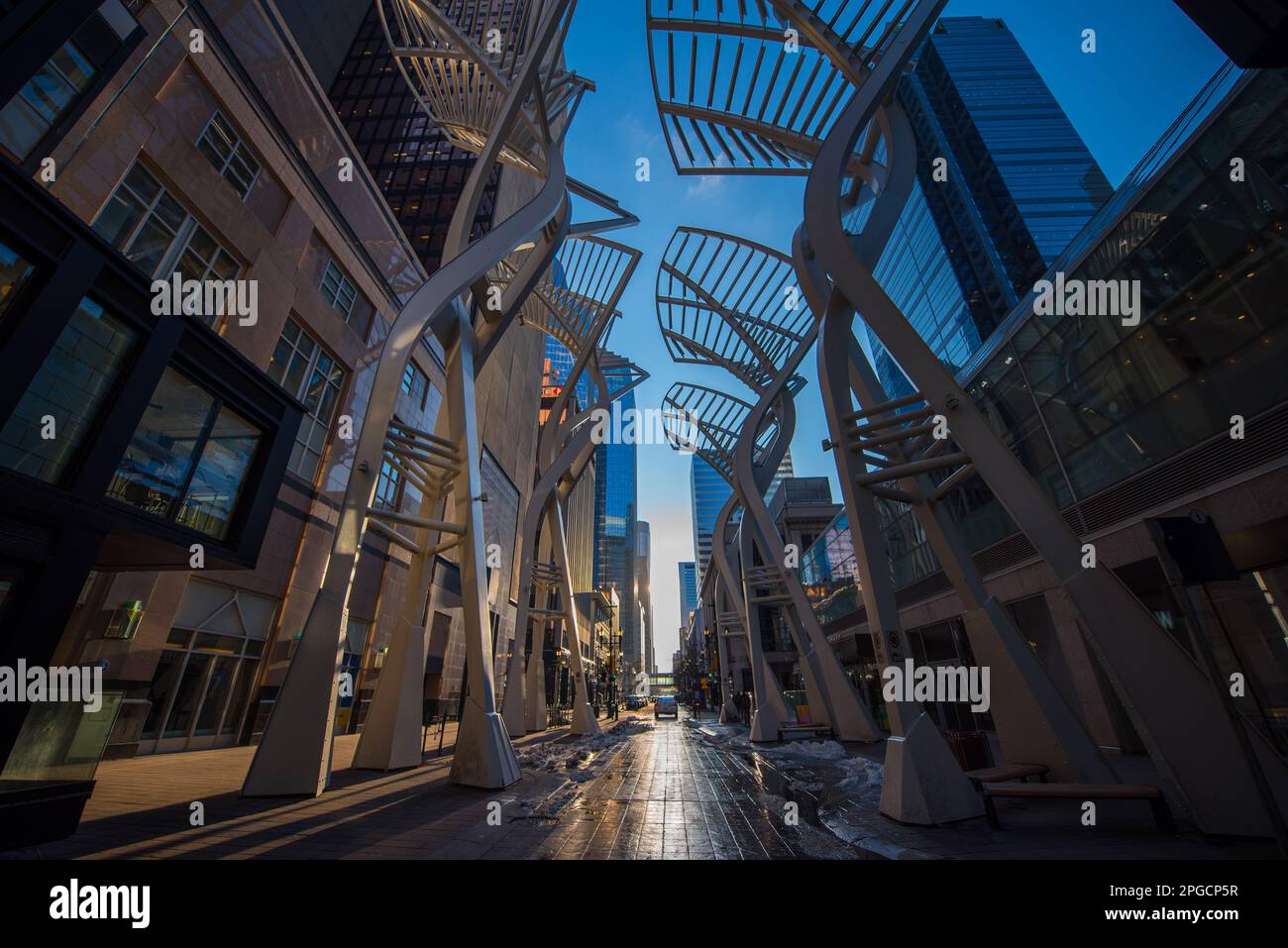 Empty wide street in evening blue sky with tree sculptures on both ...