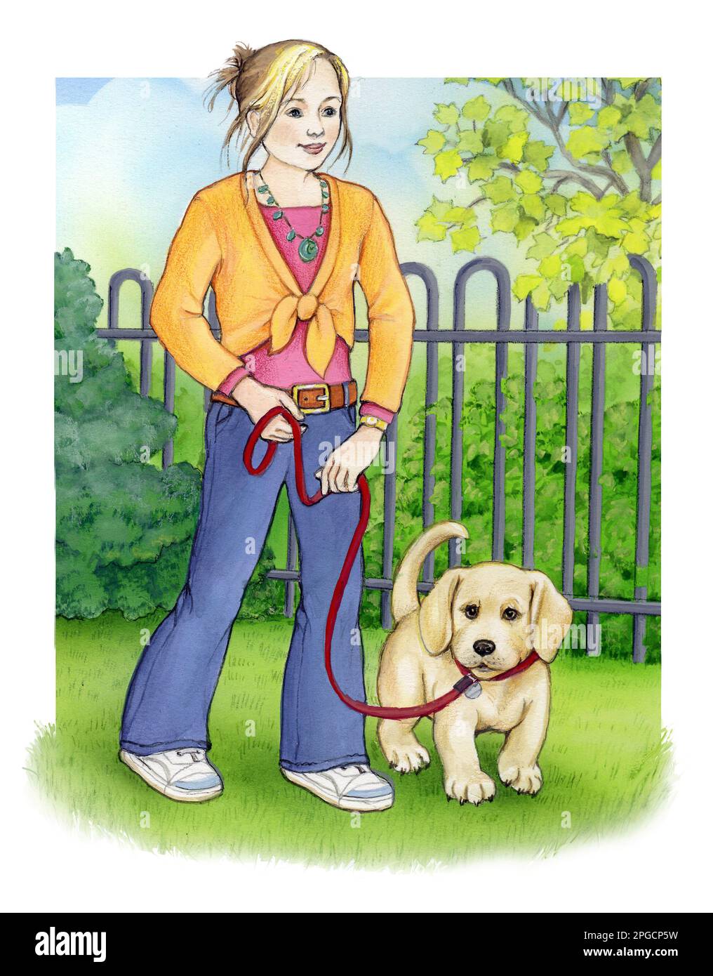 Girl walking labrador puppy on lead Stock Photo - Alamy