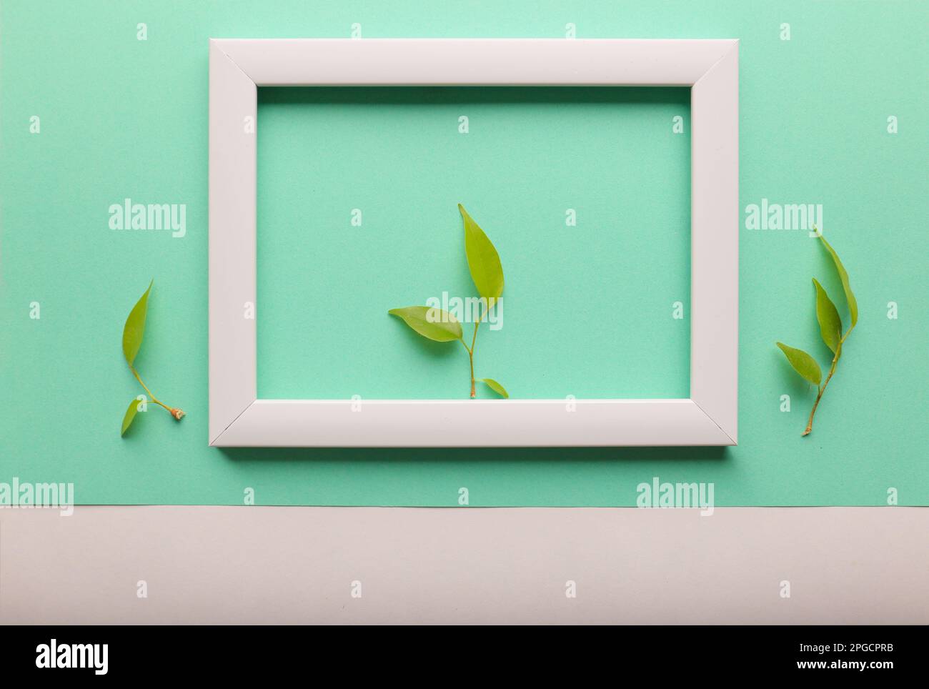 White frame and sprout on a fresh green background.. Mock up photo ...
