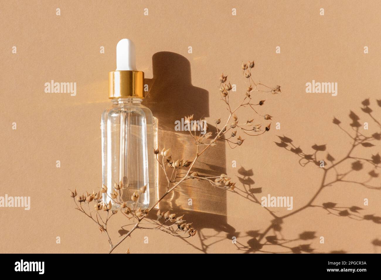 Natural oil cosmetics on neutral background. Dropper glass Bottle Mock ...