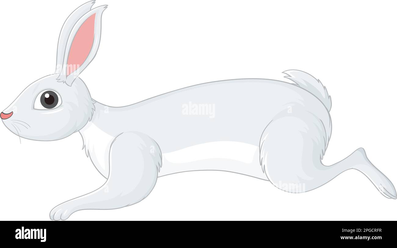 White rabbit cartoon character illustration Stock Vector Image & Art ...