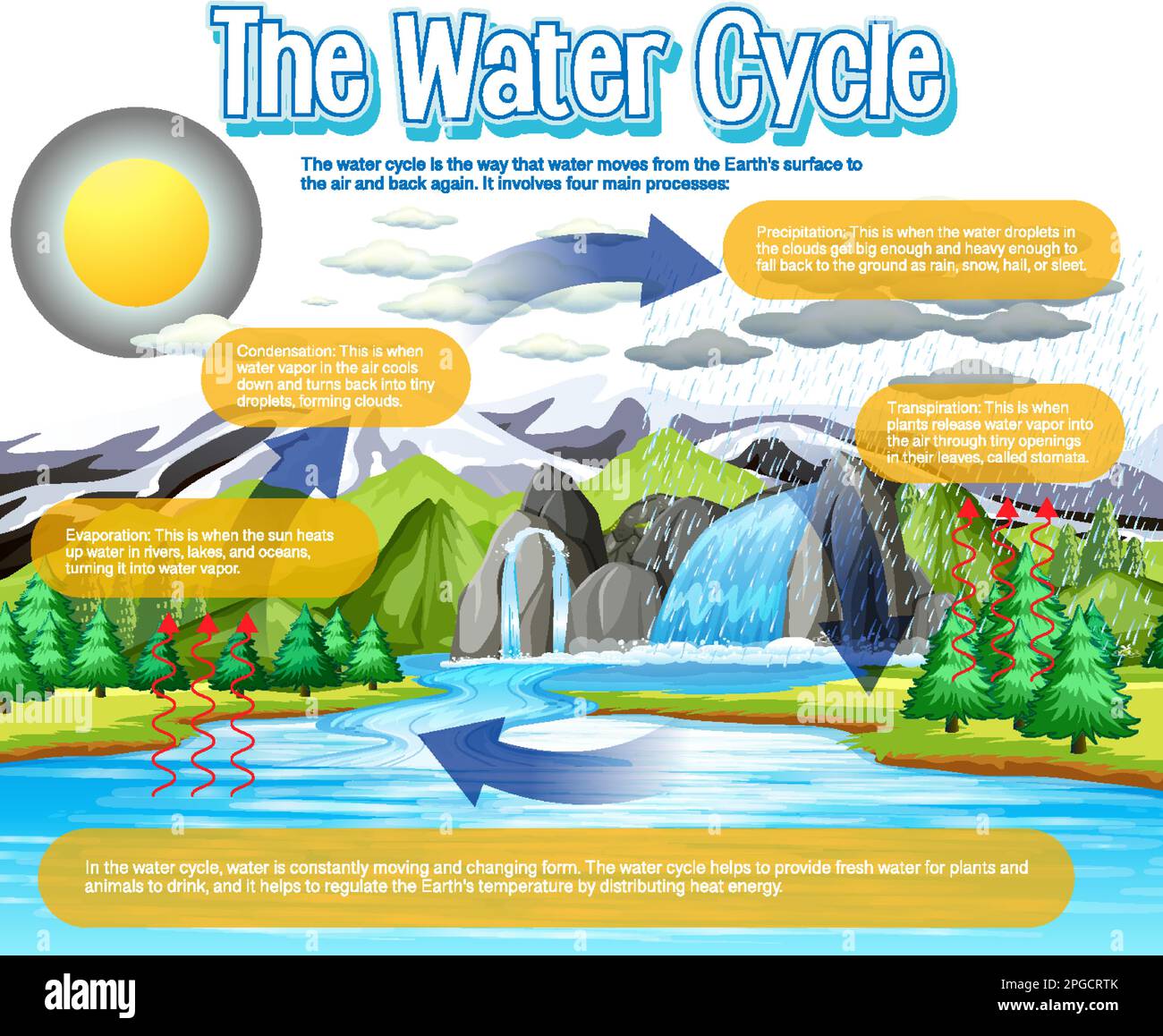 The water cycle diagram for science education illustration Stock Vector ...